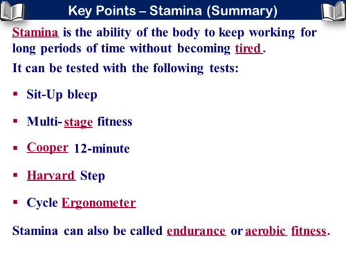 PE305ST - Components of Fitness - 3 (Stamina) | Teaching Resources