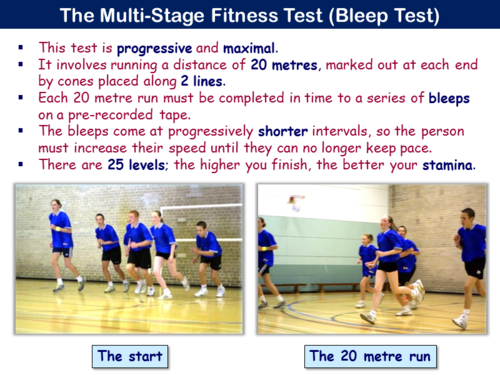 PE305ST - Components of Fitness - 3 (Stamina) | Teaching Resources