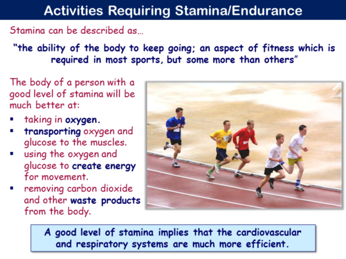 PE305ST - Components of Fitness - 3 (Stamina) | Teaching Resources