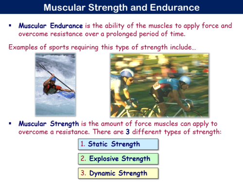 PE306ST - Components of Fitness - 4 (Strength) | Teaching Resources