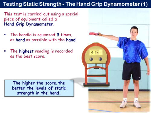 PE306ST - Components of Fitness - 4 (Strength) | Teaching Resources