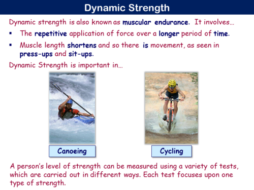 PE306ST - Components of Fitness - 4 (Strength) | Teaching Resources