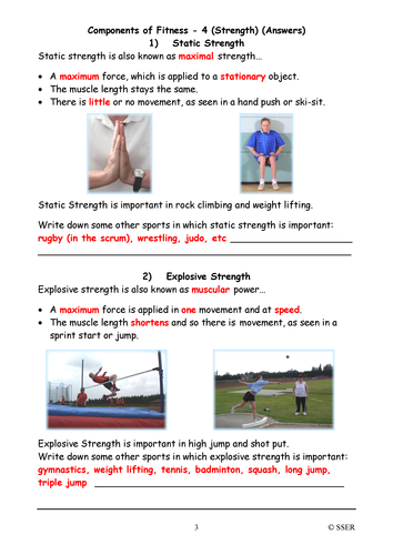 PE306ST - Components of Fitness - 4 (Strength) WS | Teaching Resources