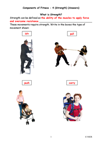 PE306ST - Components of Fitness - 4 (Strength) WS | Teaching Resources
