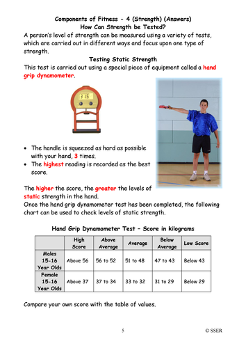 PE306ST - Components of Fitness - 4 (Strength) WS | Teaching Resources