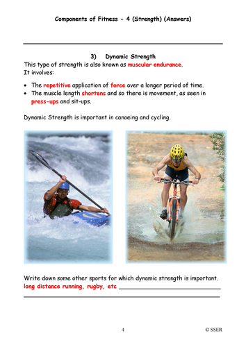 PE306ST - Components of Fitness - 4 (Strength) WS | Teaching Resources