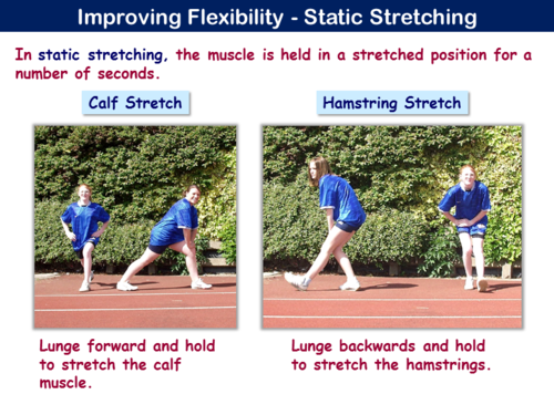 PE307ST - Components of Fitness - 5 (Flexibility) | Teaching Resources