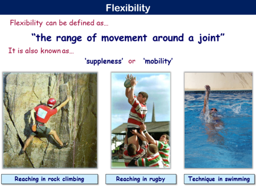 PE307ST - Components of Fitness - 5 (Flexibility) | Teaching Resources