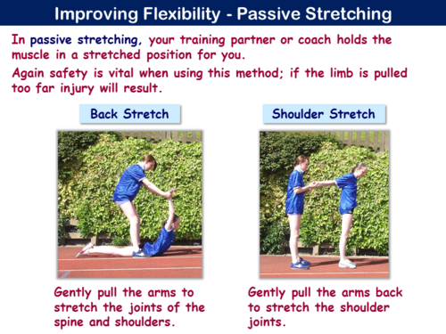 PE307ST - Components of Fitness - 5 (Flexibility) | Teaching Resources