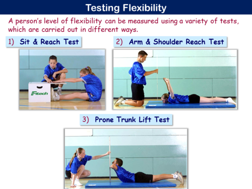 PE307ST - Components of Fitness - 5 (Flexibility) | Teaching Resources