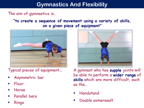 PE307ST - Components of Fitness - 5 (Flexibility) | Teaching Resources