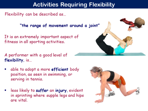 PE307ST - Components of Fitness - 5 (Flexibility) | Teaching Resources