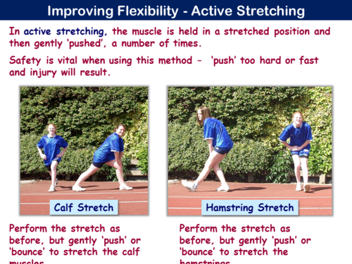 PE307ST - Components of Fitness - 5 (Flexibility) | Teaching Resources