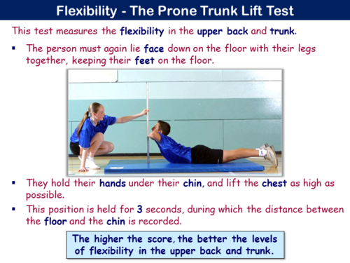 PE307ST - Components of Fitness - 5 (Flexibility) | Teaching Resources