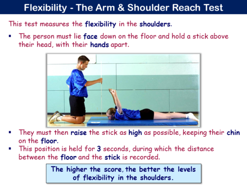 PE307ST - Components of Fitness - 5 (Flexibility) | Teaching Resources