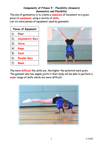 PE307ST - Components of Fitness - 5 (Flexibility) WS by RGeorge15 ...