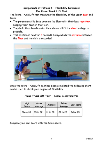 PE307ST - Components of Fitness - 5 (Flexibility) WS | Teaching Resources