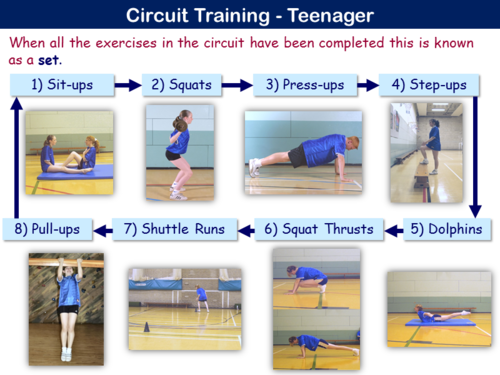 PE405ST - Types of Training - 2 (Weights, Plyometrics, Circuits ...