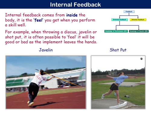 PE502ST - Acquisition of Skills (Input, Decision Making, Output ...