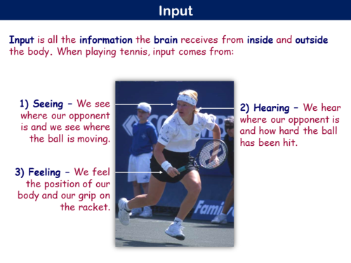 PE502ST - Acquisition of Skills (Input, Decision Making, Output ...