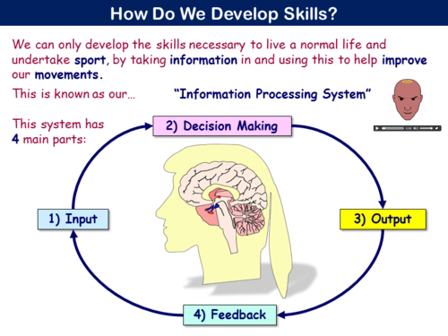 PE502ST - Acquisition of Skills (Input, Decision Making, Output ...