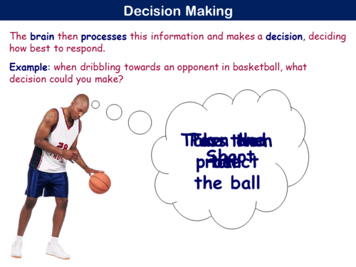 PE502ST - Acquisition of Skills (Input, Decision Making, Output ...