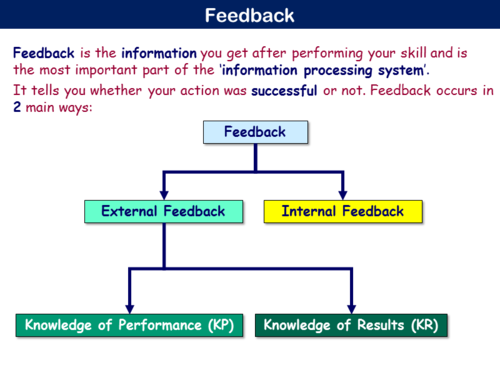 PE502ST - Acquisition of Skills (Input, Decision Making, Output ...