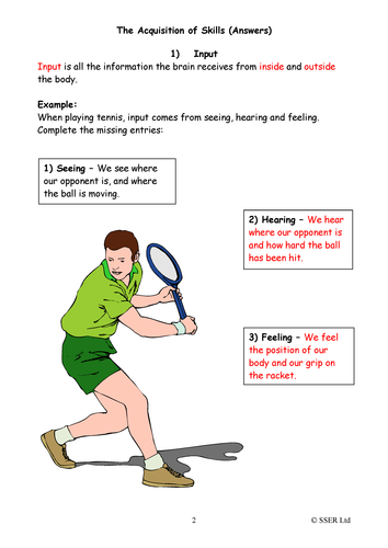 PE502ST - Acquisition of Skills (Input, Decision Making, Output ...