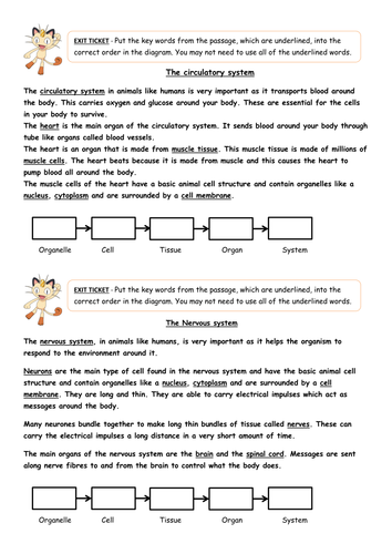 Pokemon Science - Cells, Tissues and Organs | Teaching Resources