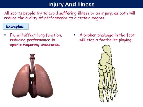 PE602ST - Factors Affecting Performance - 3 (Body Type, Age, Gender ...
