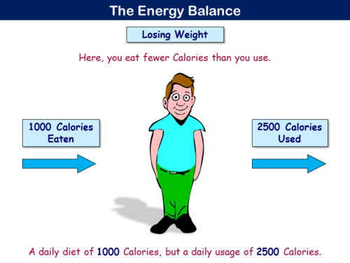 PE703ST - Nutrition & Exercise - 2 (Energy Balance & Special Diets ...