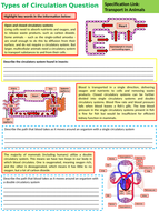A Level Biology Types of Circulation Lesson & Activities | Teaching ...