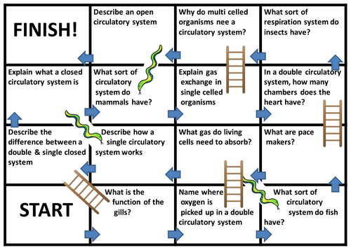A Level Biology Types of Circulation Lesson & Activities | Teaching ...