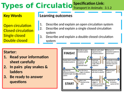 A Level Biology Types of Circulation Lesson & Activities | Teaching ...