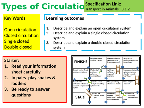 A Level Biology Types of Circulation Lesson & Activities | Teaching ...