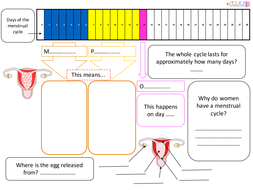 B1 Hormones Resource Pack | Teaching Resources