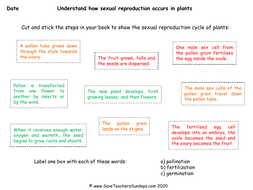 Sexual Reproduction in Plants KS2 Lesson Plan and Worksheets | Teaching ...