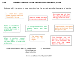 Sexual Reproduction in Plants KS2 Lesson Plan and Worksheets | Teaching ...