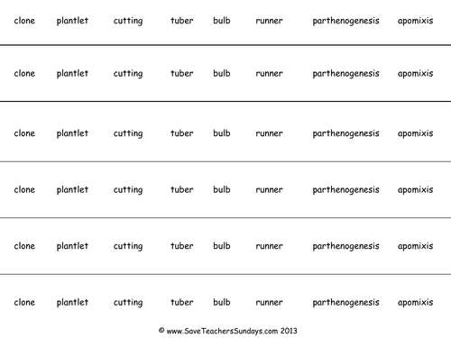 Asexual and Sexual Reproduction in Plants KS2 Lesson Plan, Worksheet ...