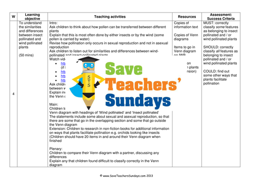 Wind Pollination and Insect Pollination KS2 Lesson Plan, and Worksheet ...