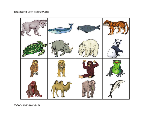 Bingo Cards: Endangered Animals (elem/upper elem) - color | Teaching ...