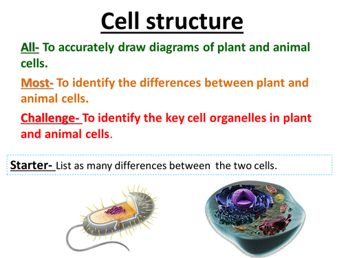 Cell structure KS4 AQA spec | Teaching Resources