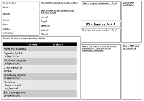 Edexcel 2016 Biology Genetics Topic SB3/CB3 Revision Mats (9-1 GCSE) | Teaching Resources