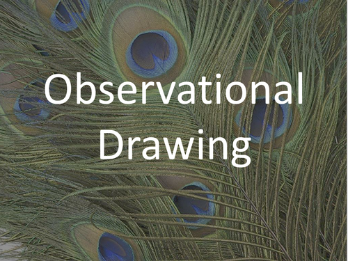Observational Drawing Lesson | Teaching Resources