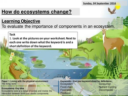 Ecosystems Balance / Interdependence of Components - AQA2016 Living ...