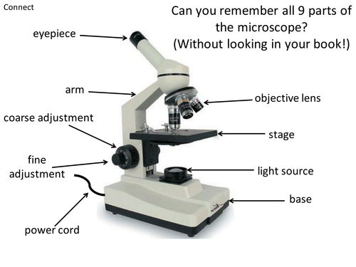 Cells KS3 SOW by flaffey - Teaching Resources - TES