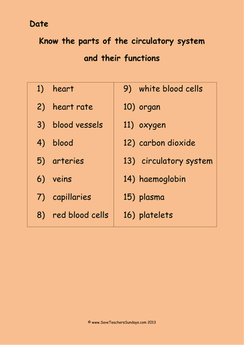 Parts of the Circulatory System KS2 Lesson Plan and Worksheets ...