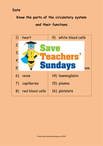 Parts of the Circulatory System KS2 Lesson Plan and Worksheets ...
