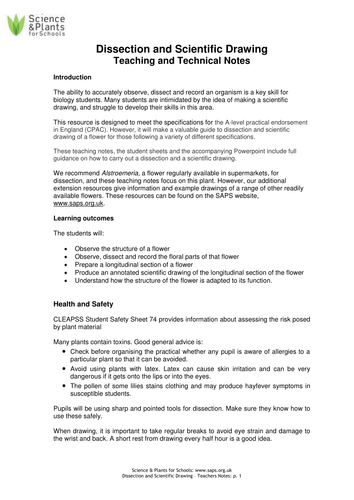 A-level set practicals - dissection and scientific drawing | Teaching ...