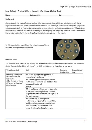 Microbiology required practical- New AQA GCSE Biology | Teaching Resources